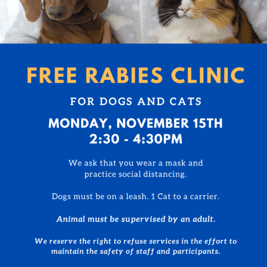 Free Rabies Clinic Nov. 15 – Borough of Highlands, New Jersey