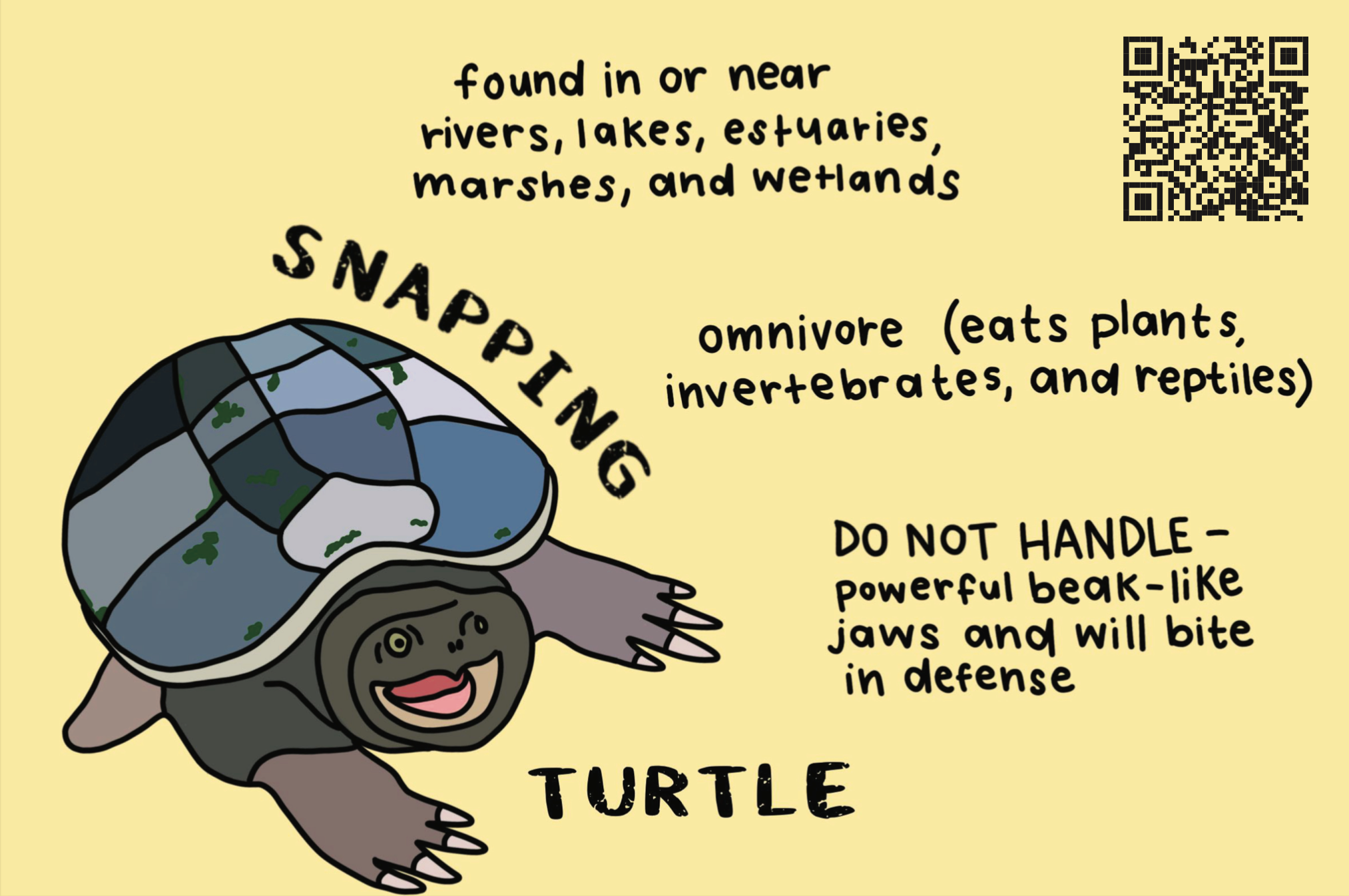 Beach Buddies Snapping turtle – Borough of Highlands, New Jersey